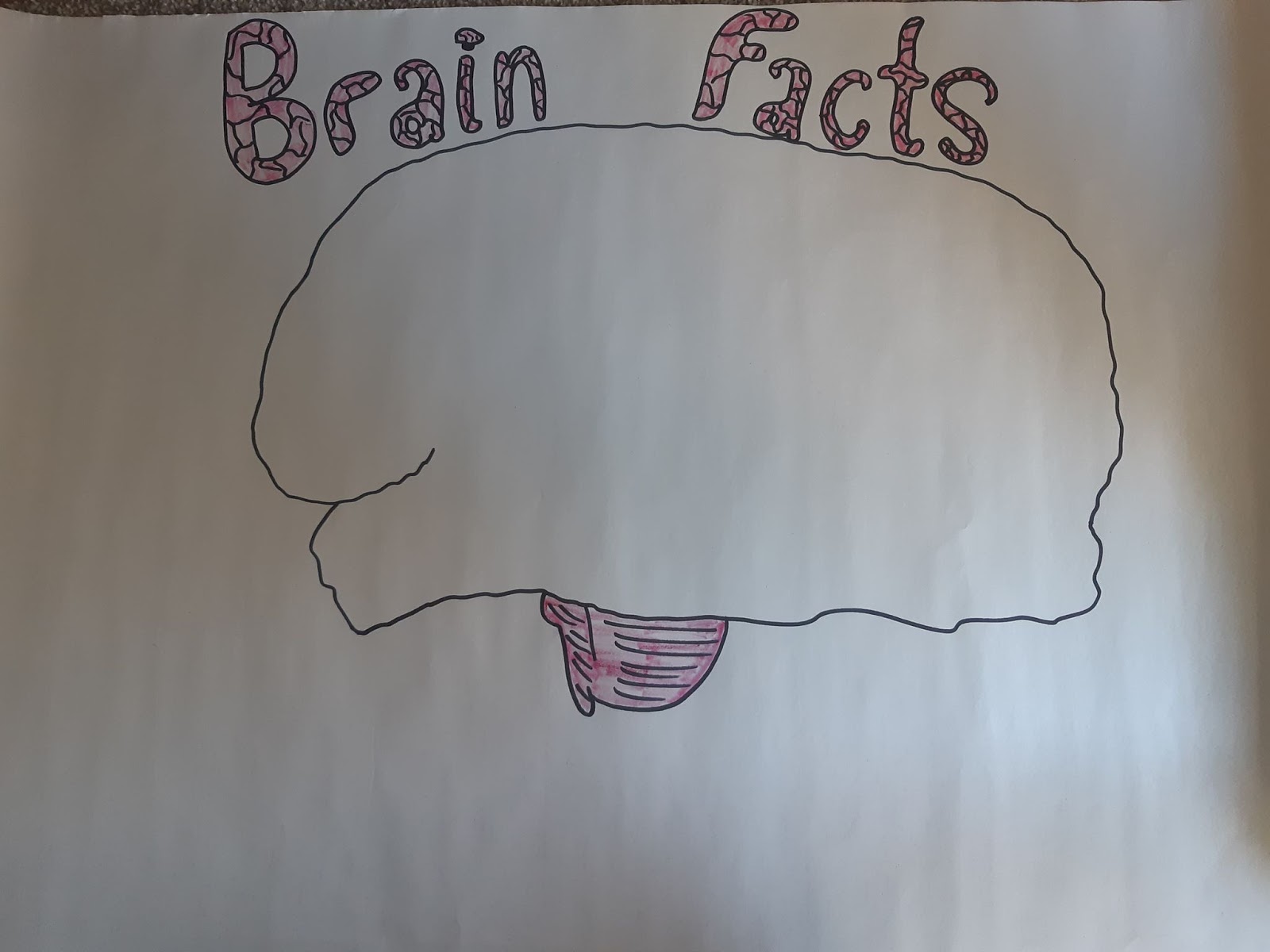 Learning Centres on Human Nervous System for grade 6 – Elementary Ed ...